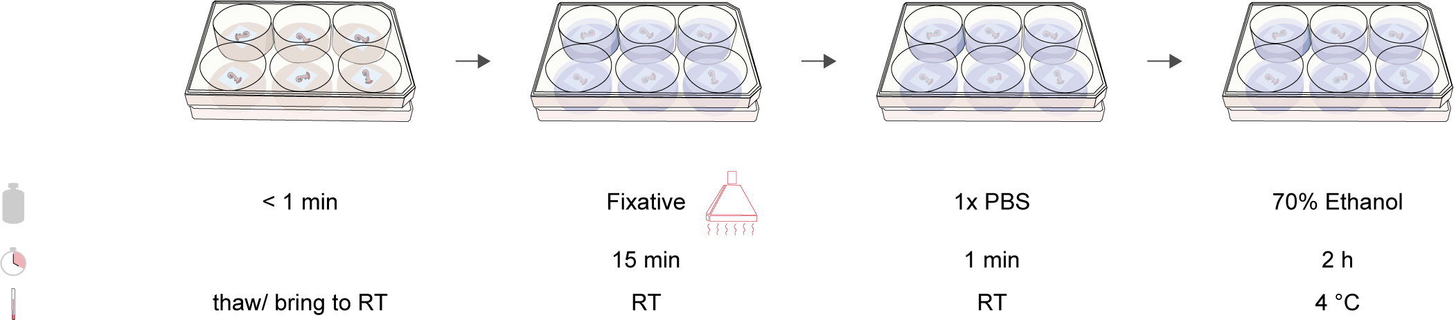 Cell Press: STAR Protocols