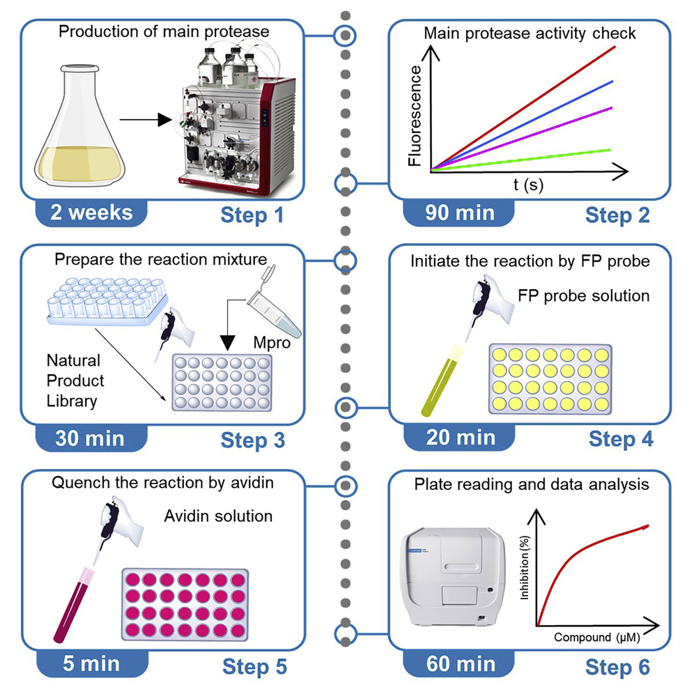 Cell Press: STAR Protocols