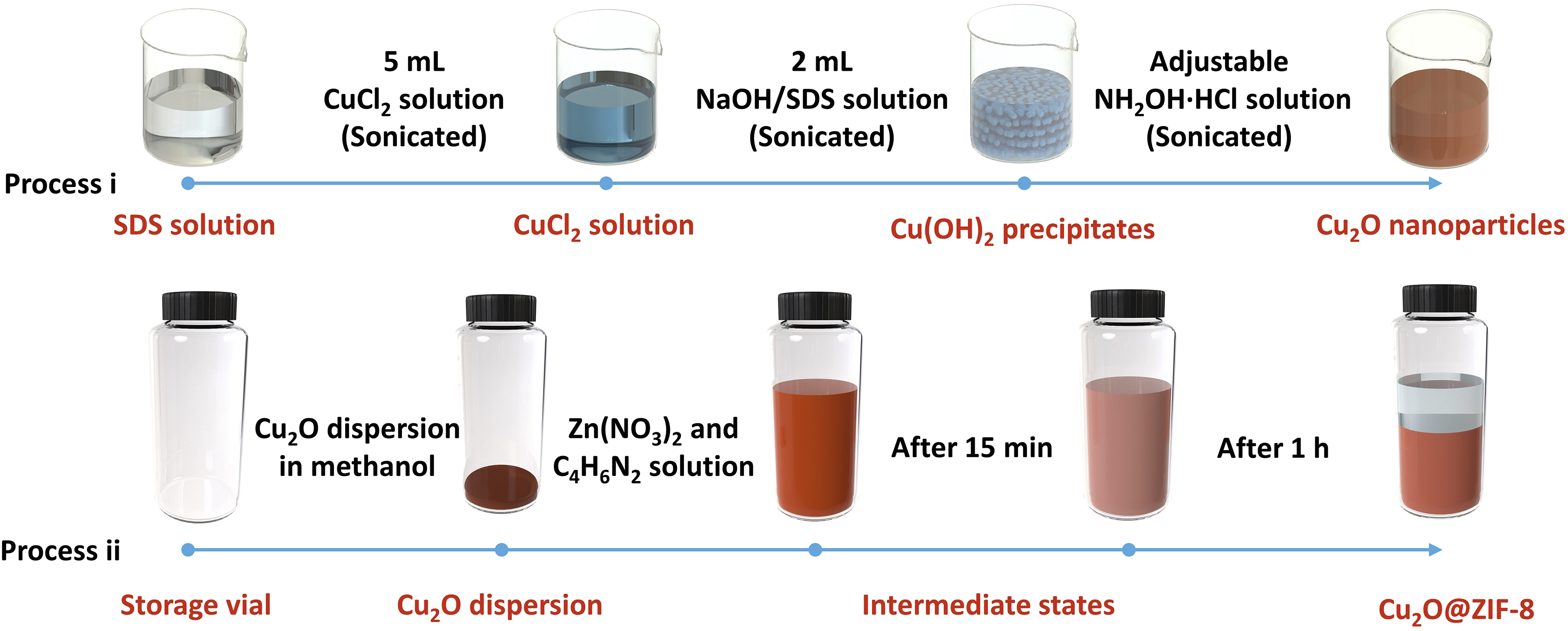 Cell Press: STAR Protocols