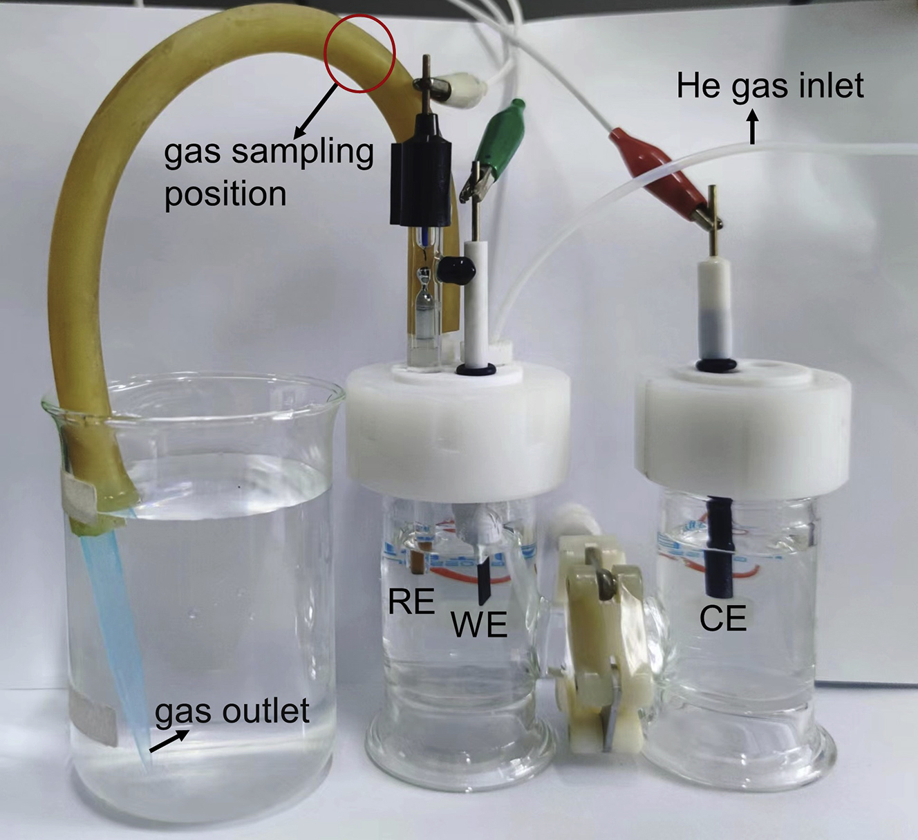Cell Press: STAR Protocols