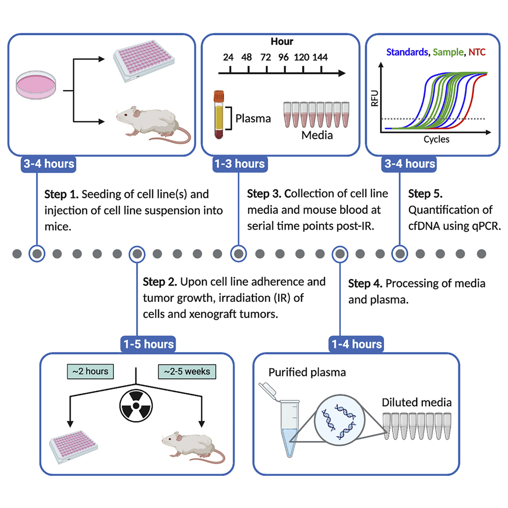 Cell Press: STAR Protocols