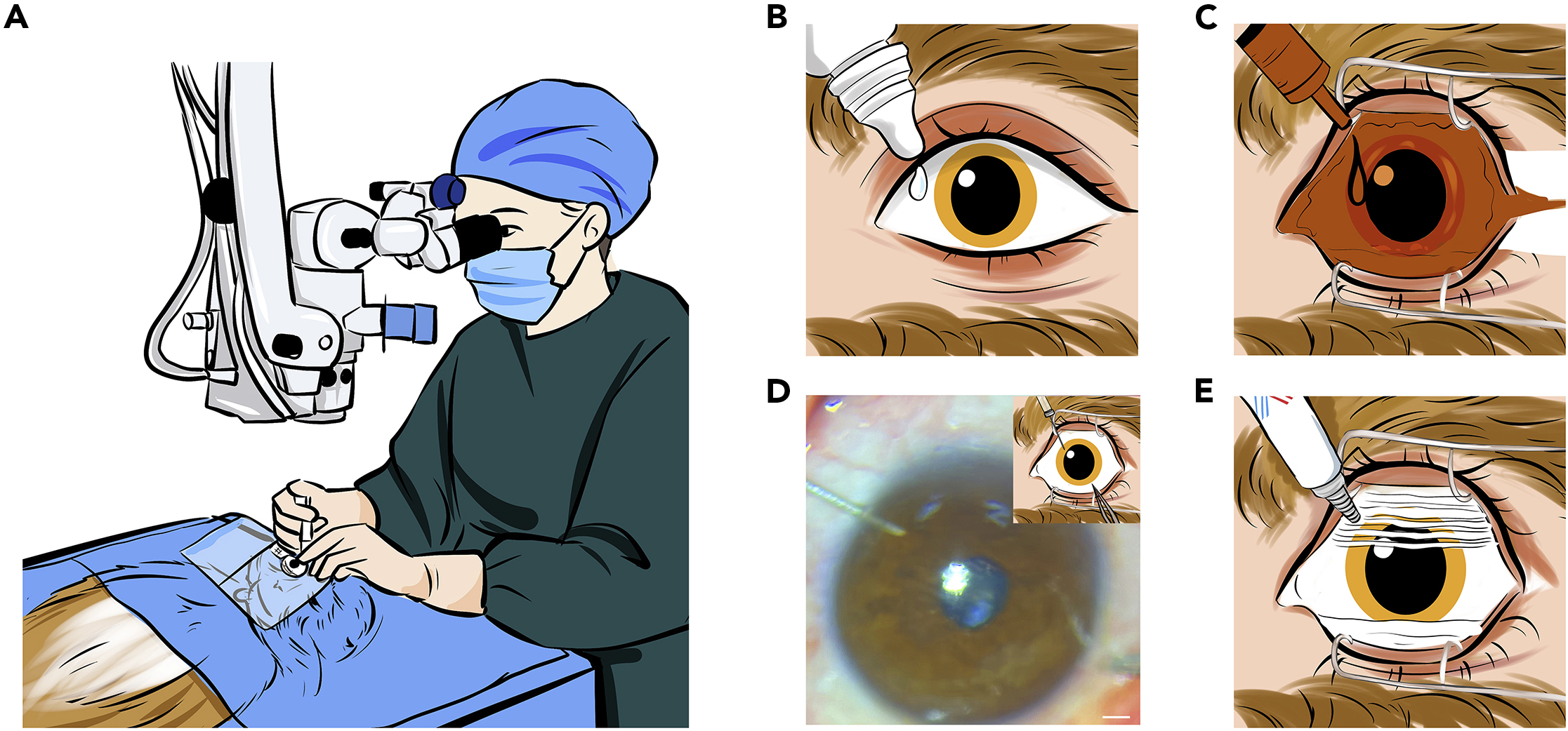 Cell Press: STAR Protocols