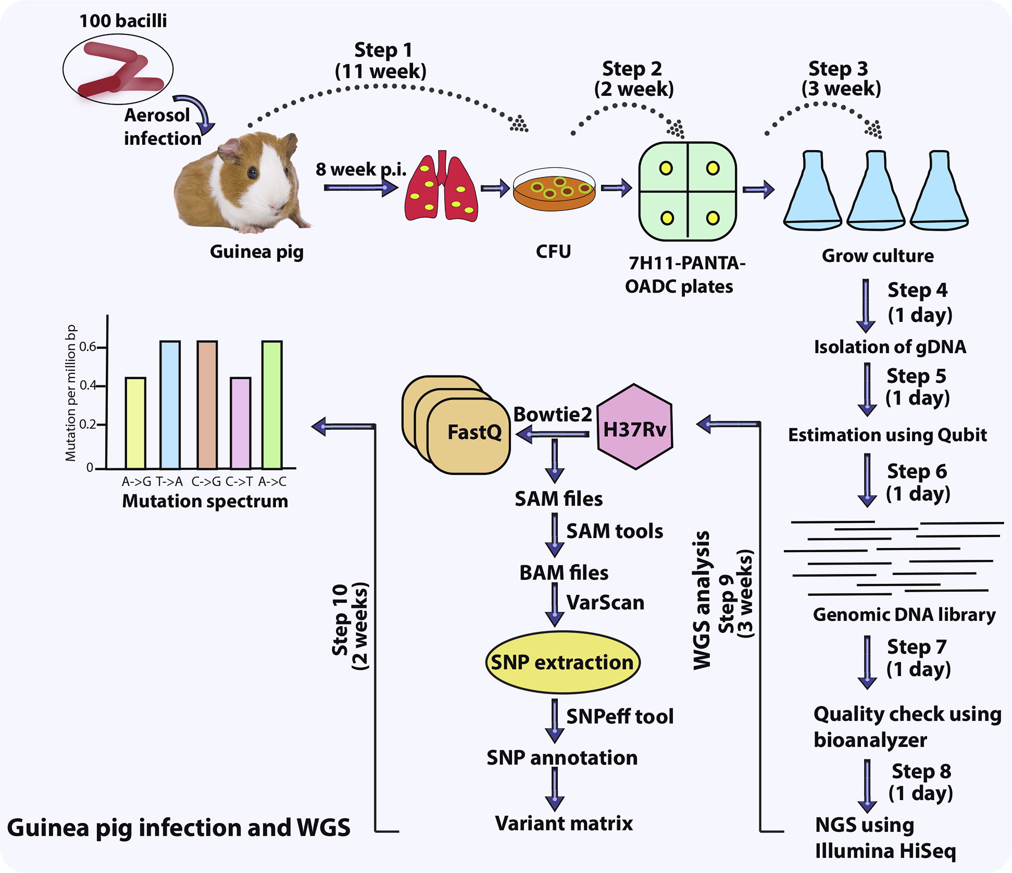 Cell Press: STAR Protocols