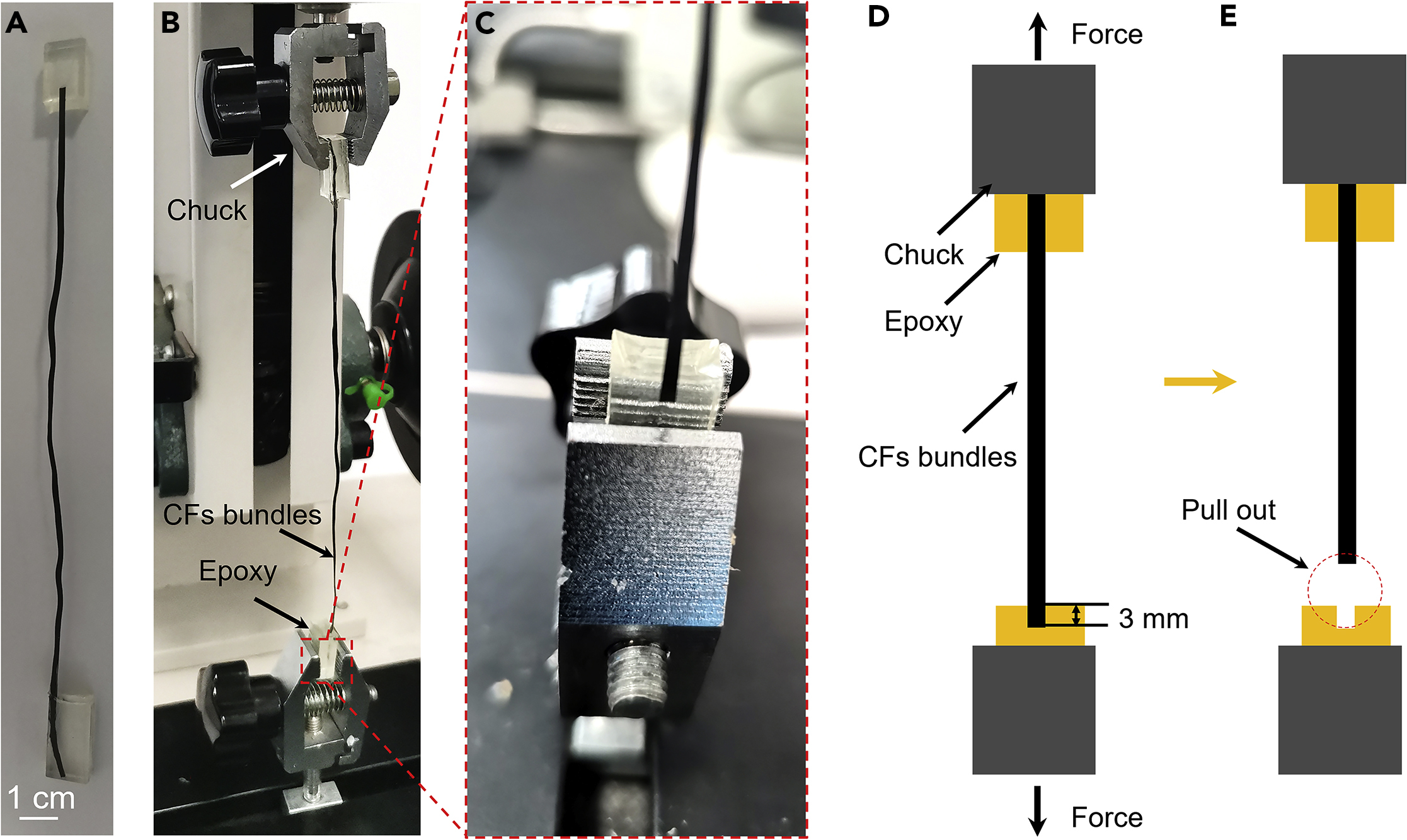 Cell Press: STAR Protocols