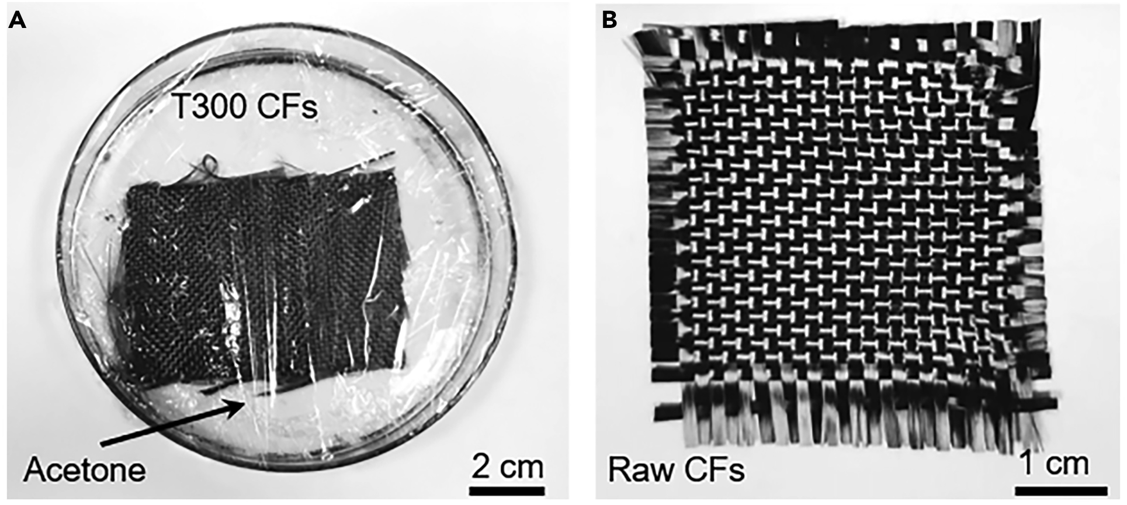 Cell Press: STAR Protocols