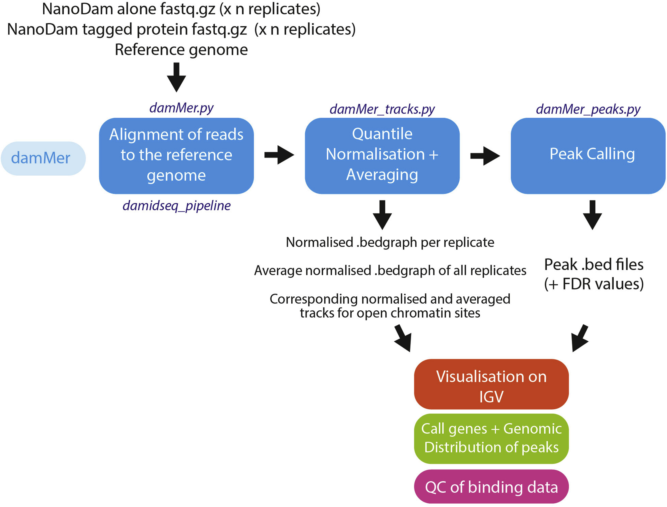 Cell Press: STAR Protocols