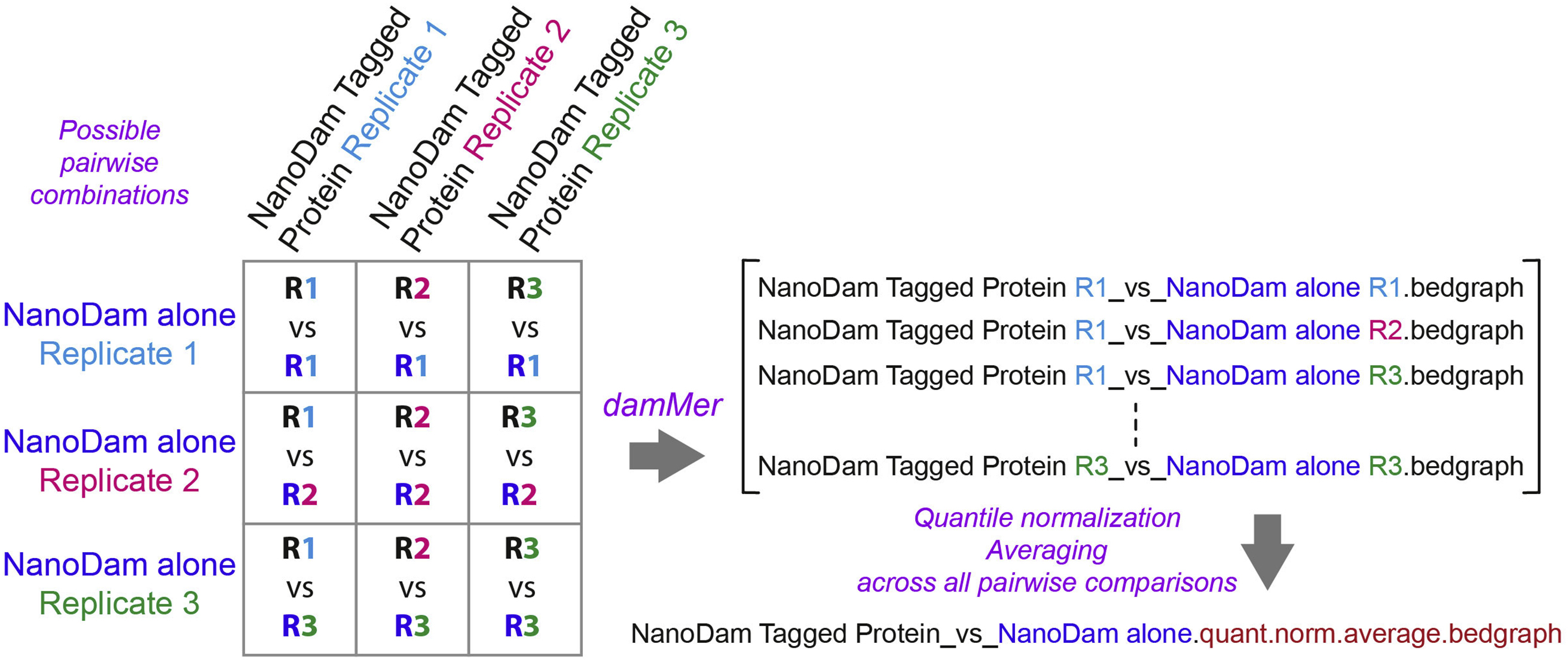 Cell Press: STAR Protocols