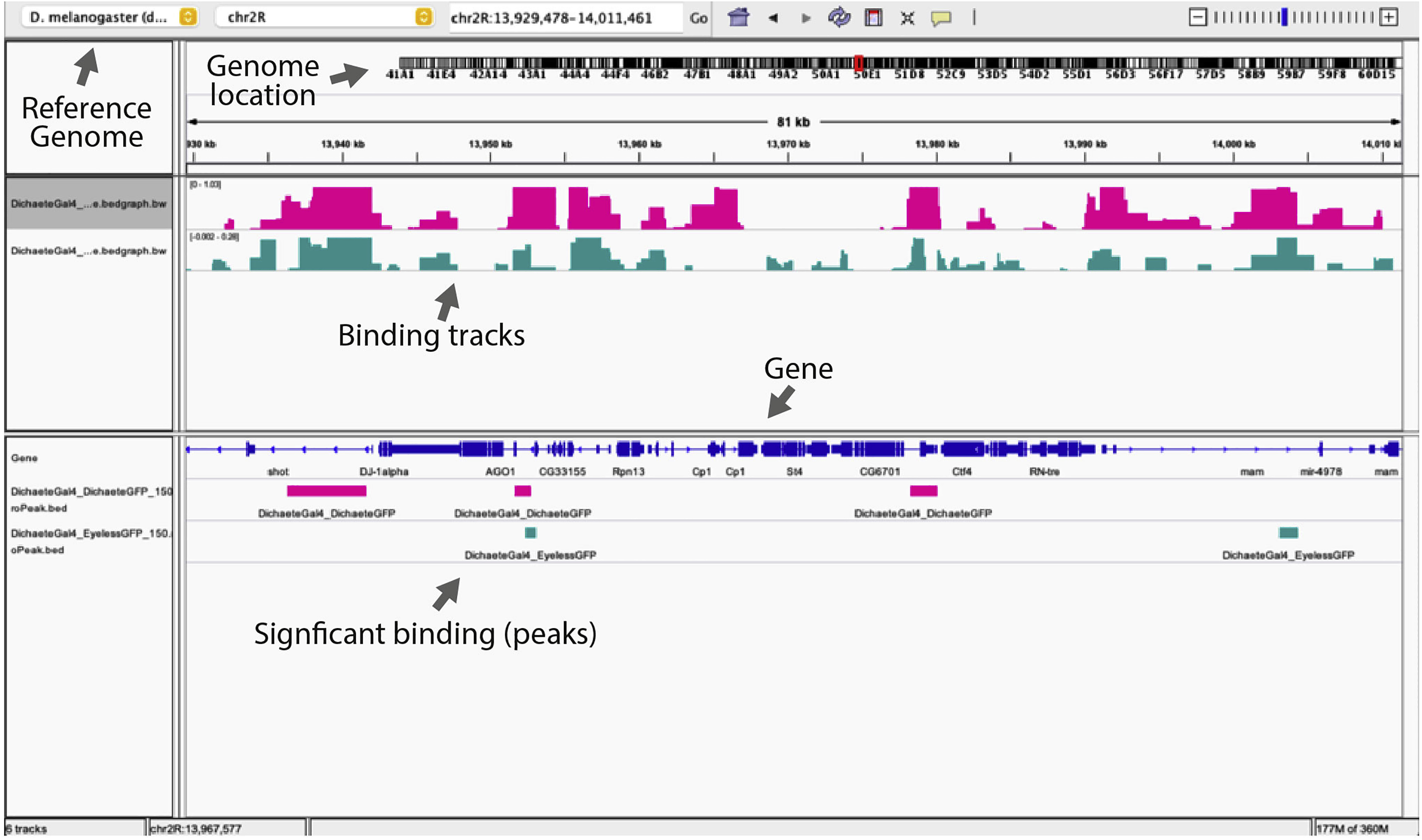 Cell Press: STAR Protocols