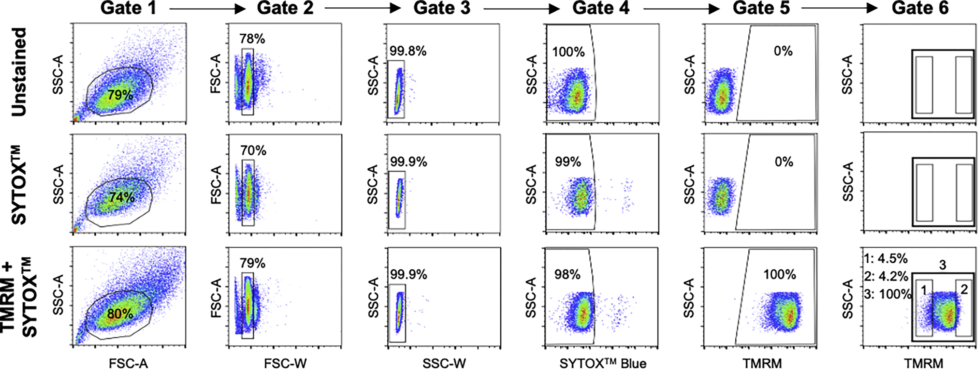 Cell Press: STAR Protocols