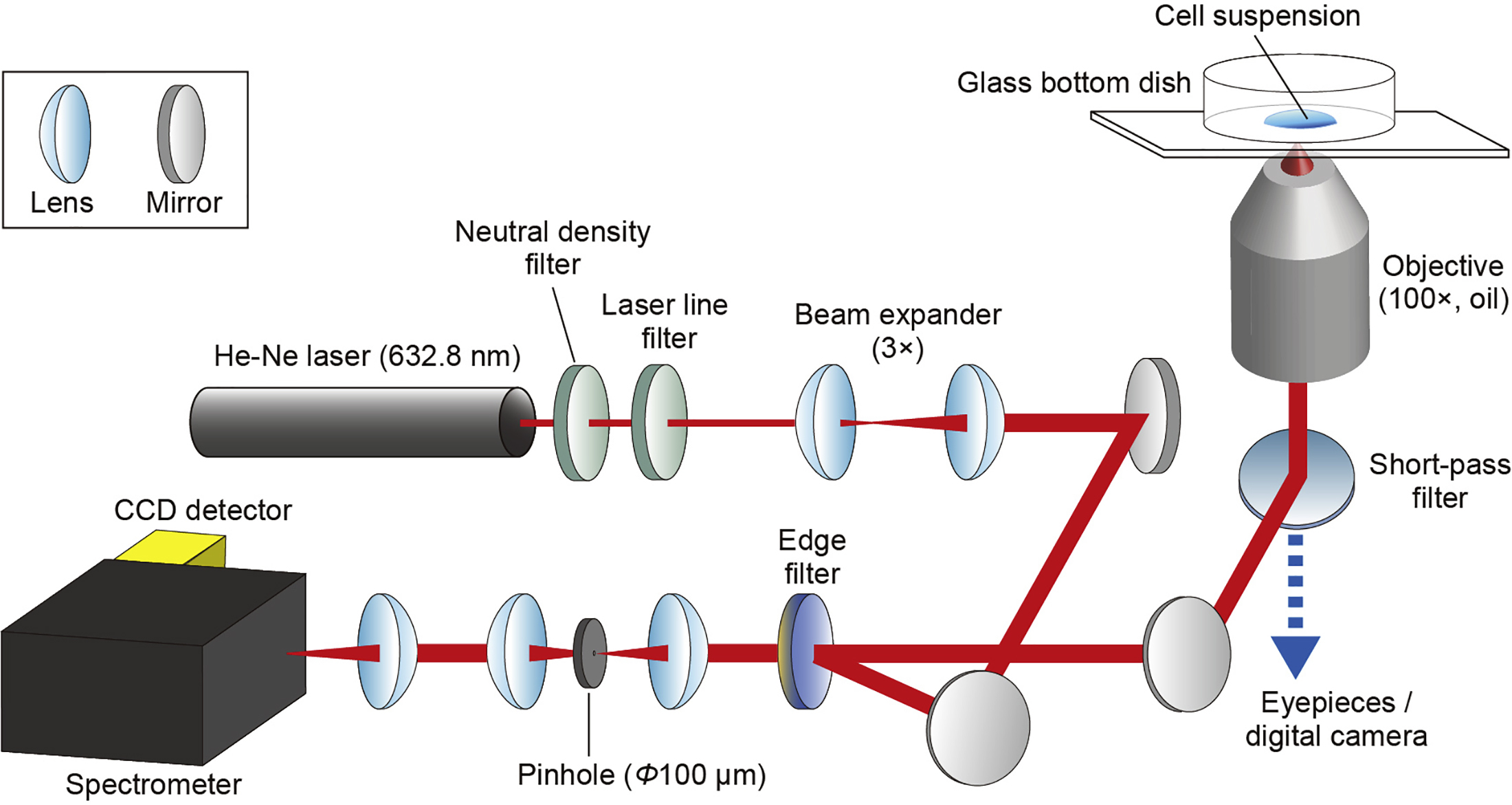 Cell Press: STAR Protocols