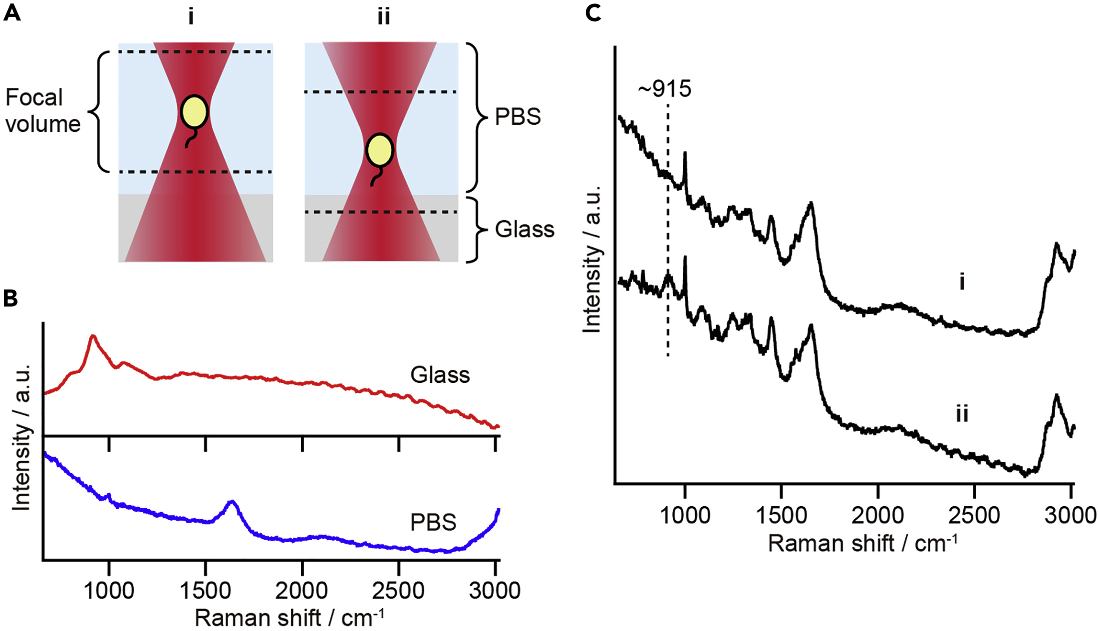 Cell Press: STAR Protocols
