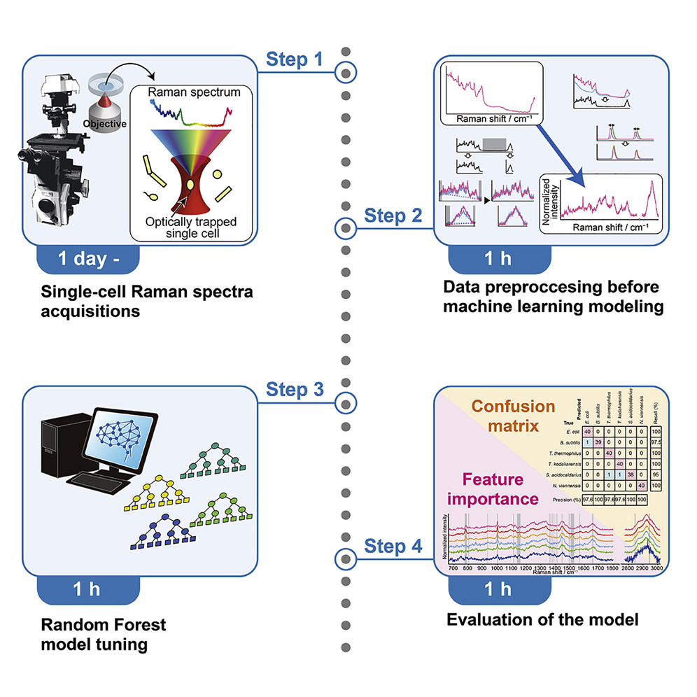 Cell Press: STAR Protocols