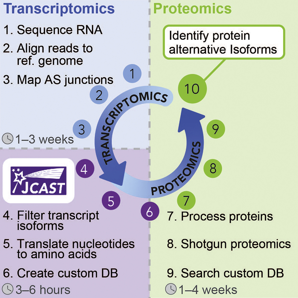 Cell Press: STAR Protocols