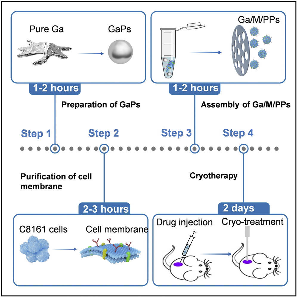 Cell Press: STAR Protocols
