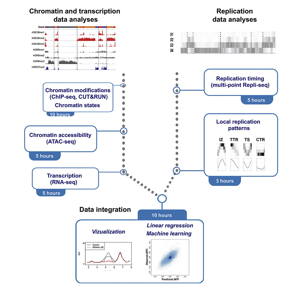 Cell Press: STAR Protocols