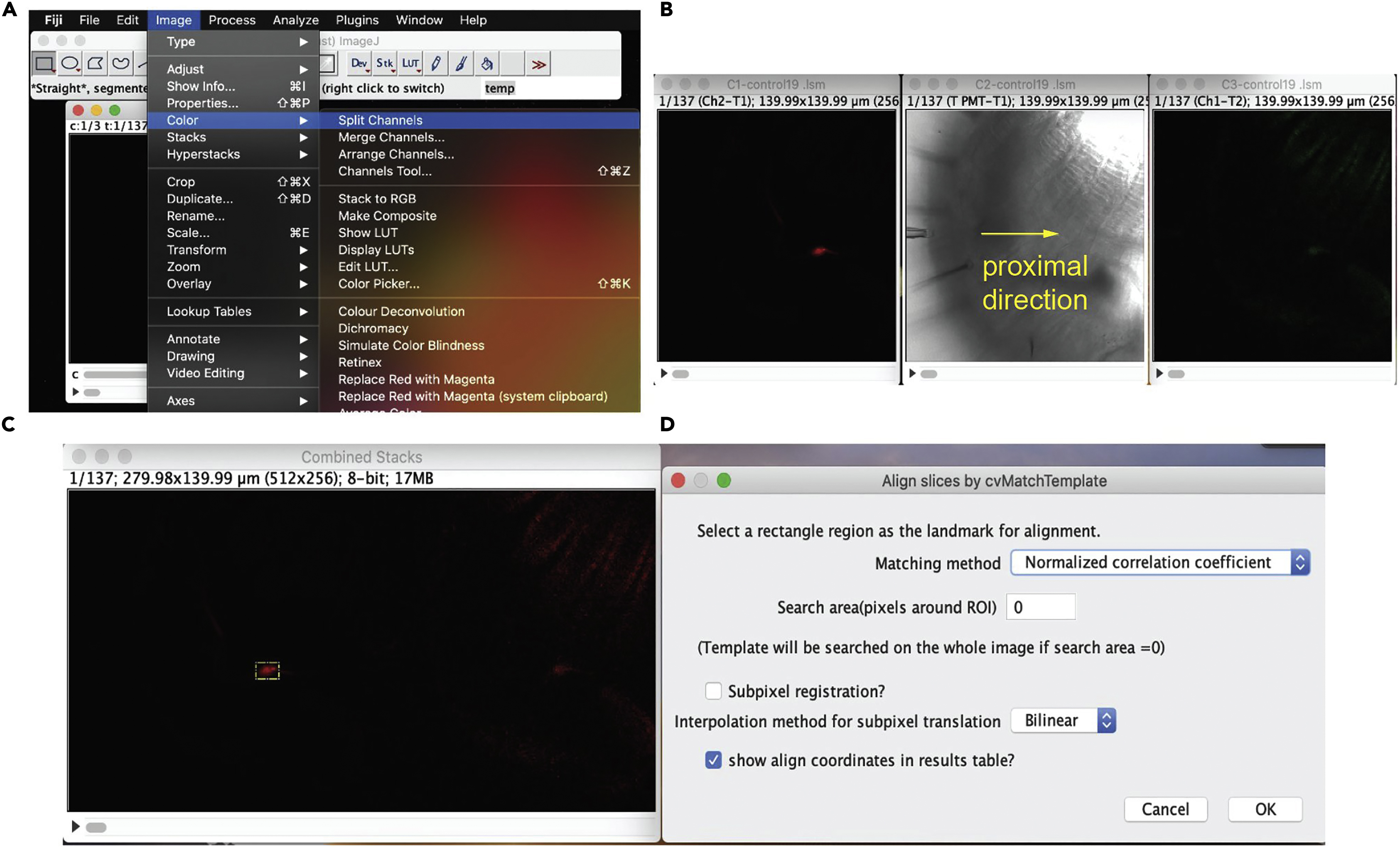 Cell Press: STAR Protocols