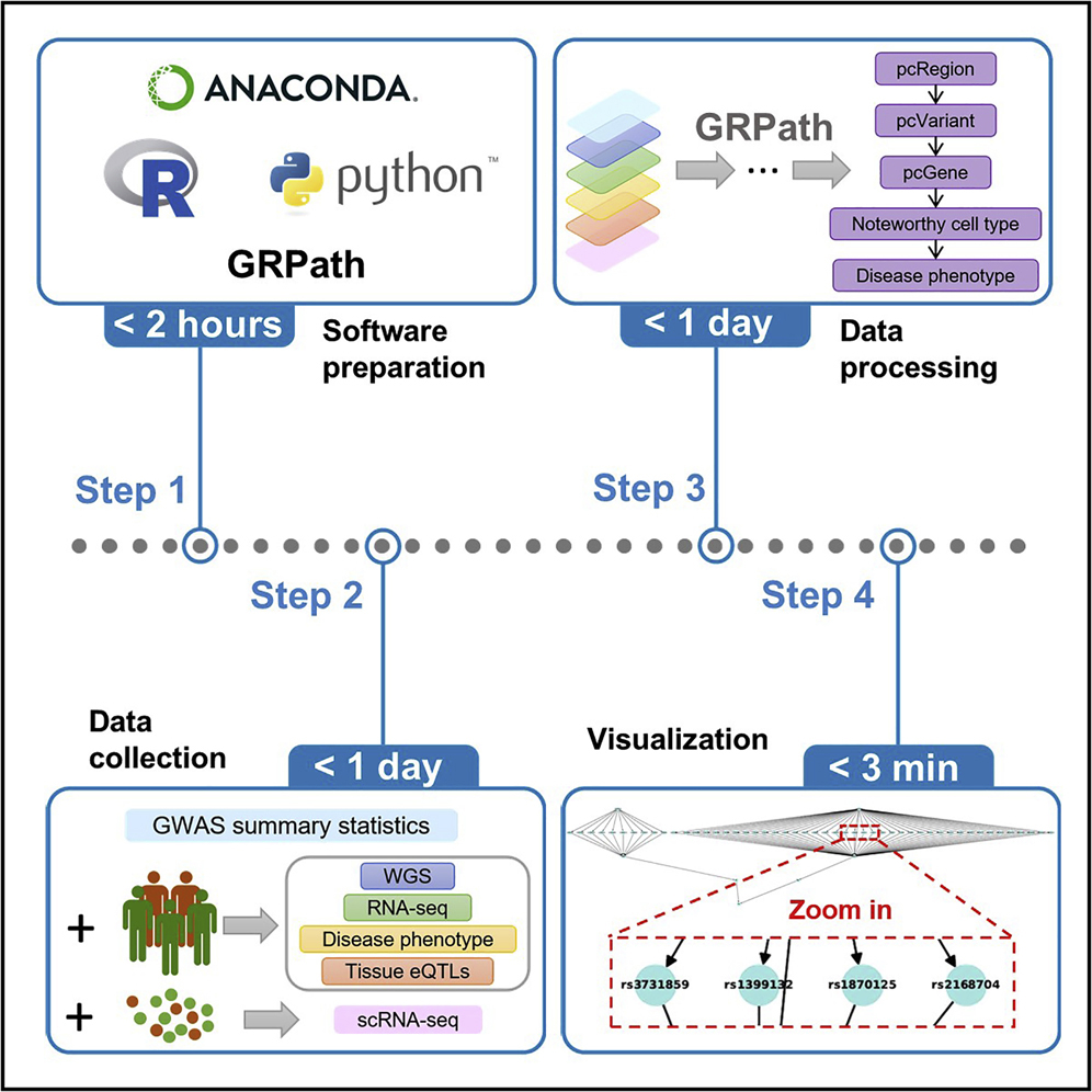 Cell Press: STAR Protocols