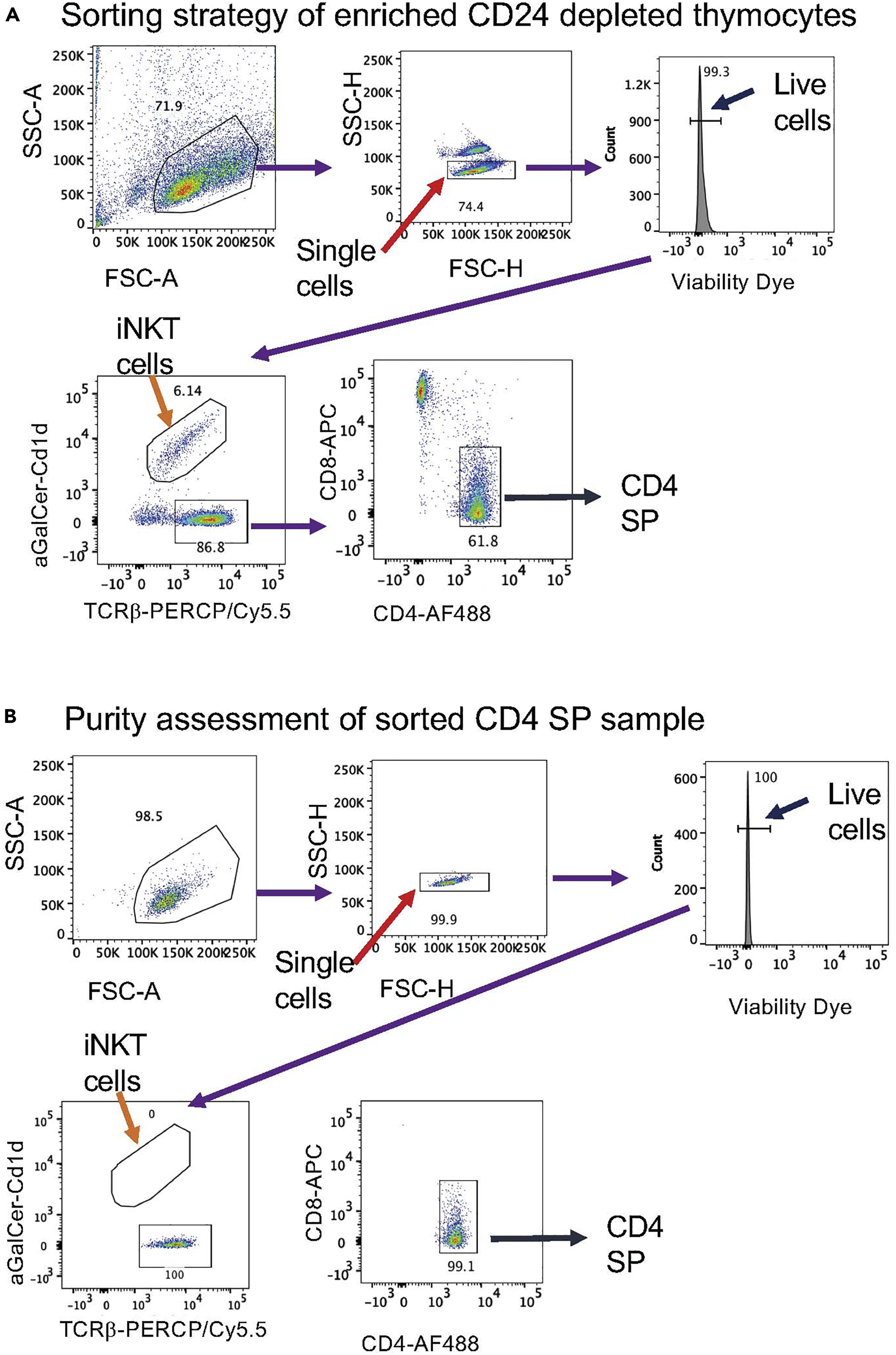 Cell Press: STAR Protocols