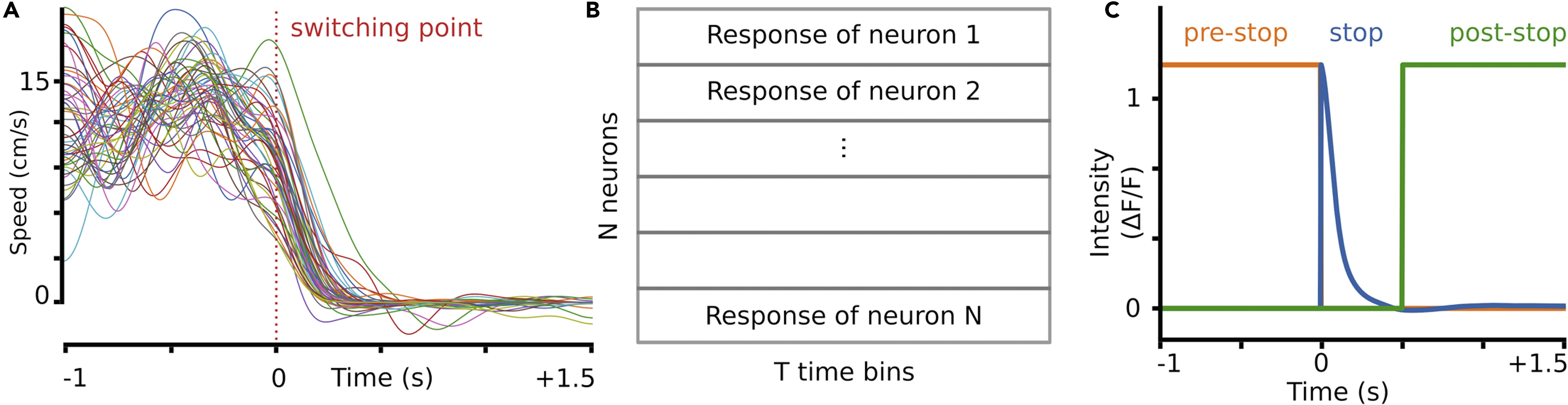 Cell Press: STAR Protocols