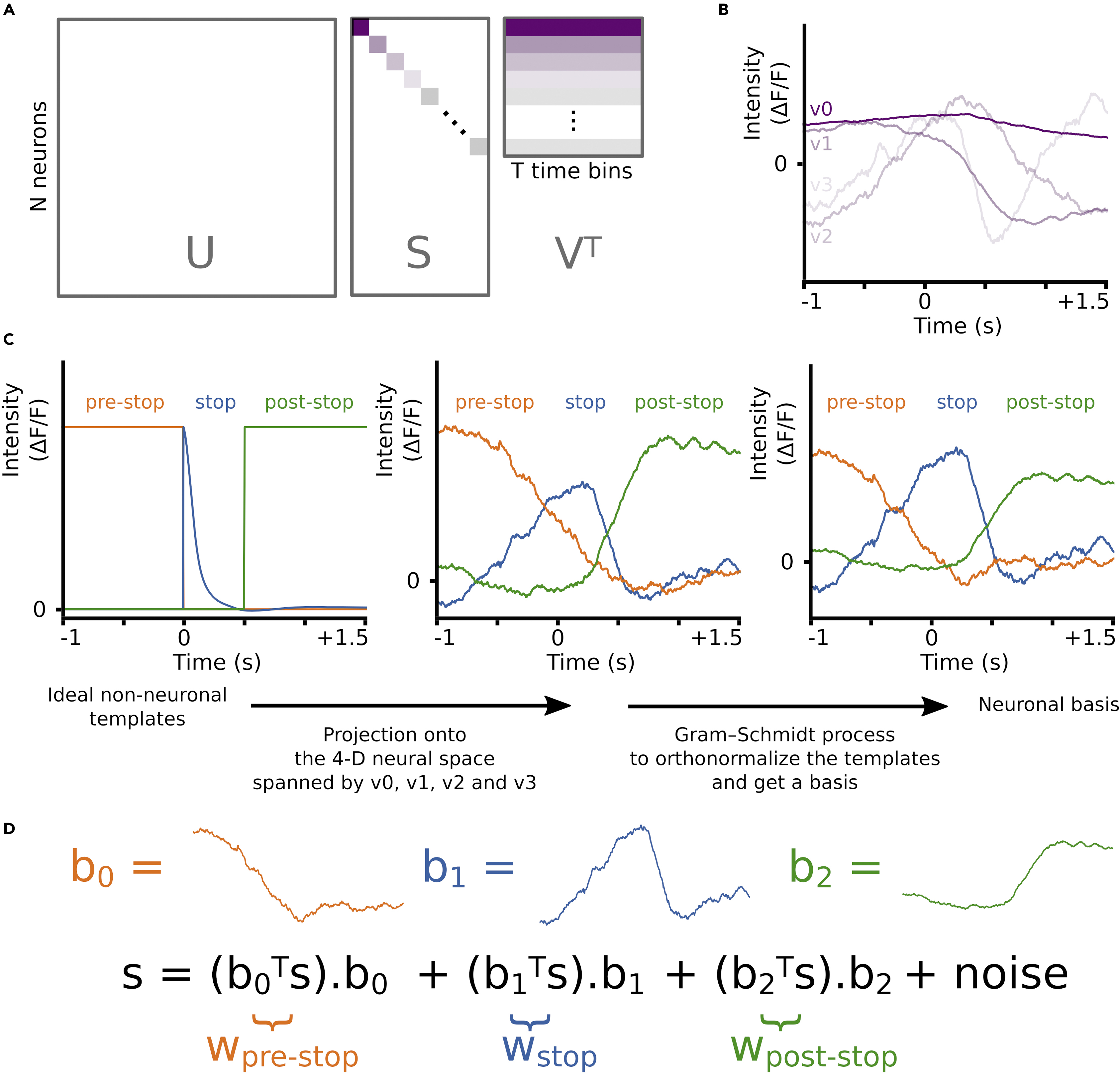 Cell Press: STAR Protocols