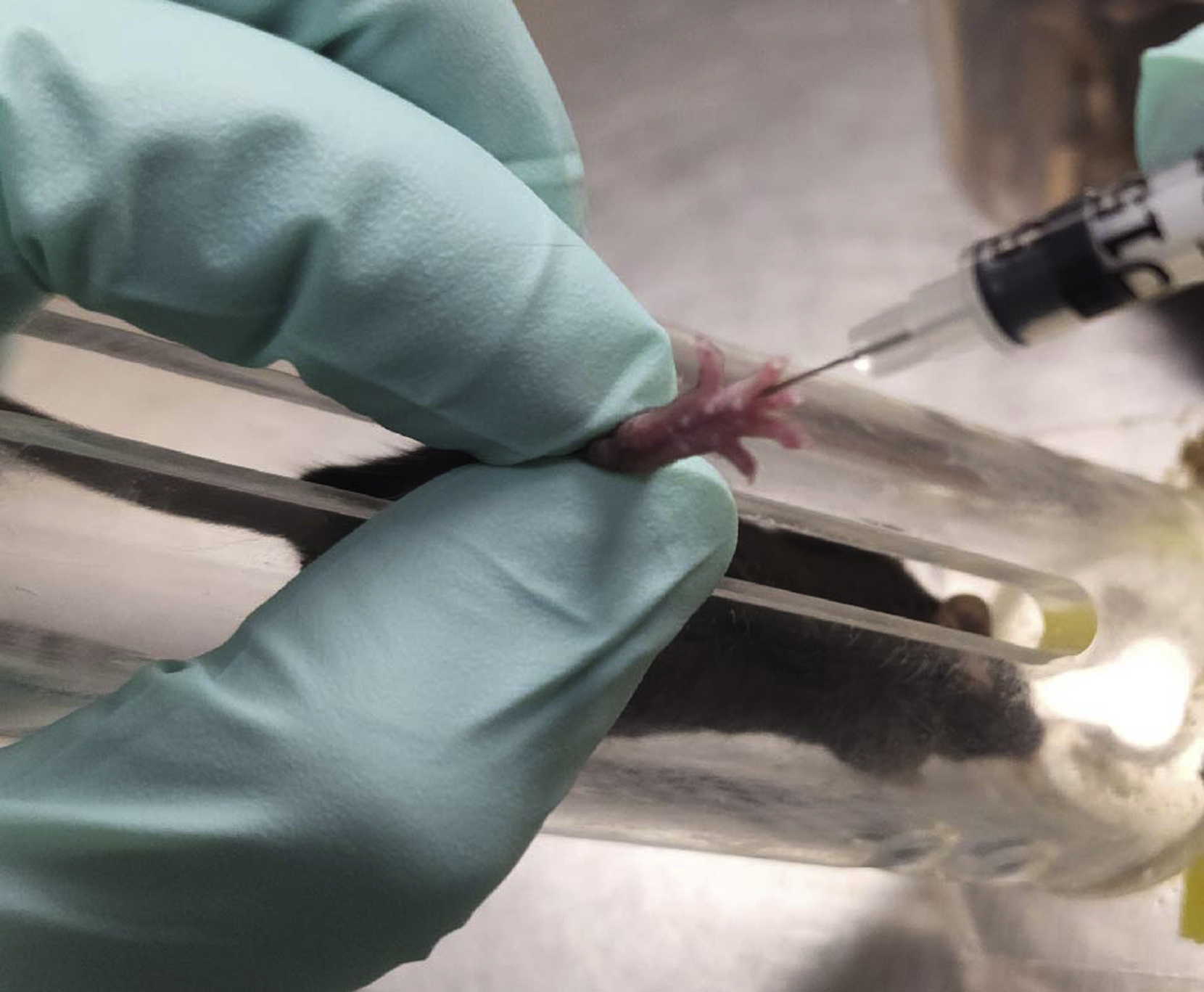 Cell Press: STAR Protocols