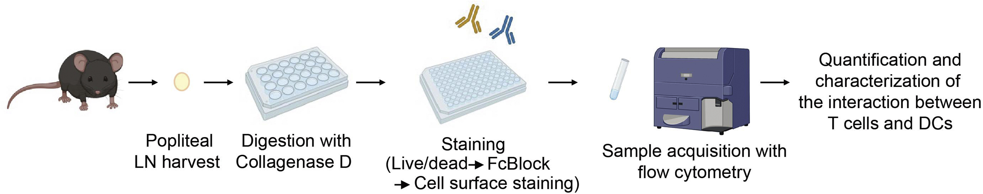 Cell Press: STAR Protocols
