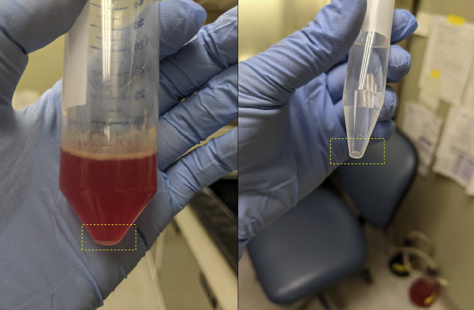 Cell Press: STAR Protocols