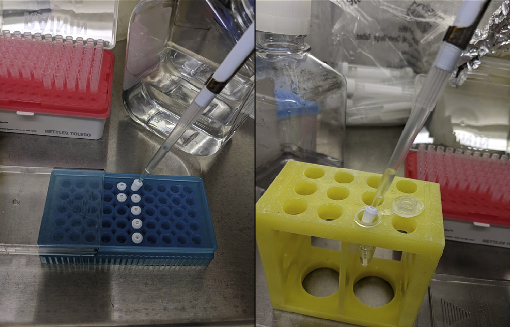 Cell Press: STAR Protocols