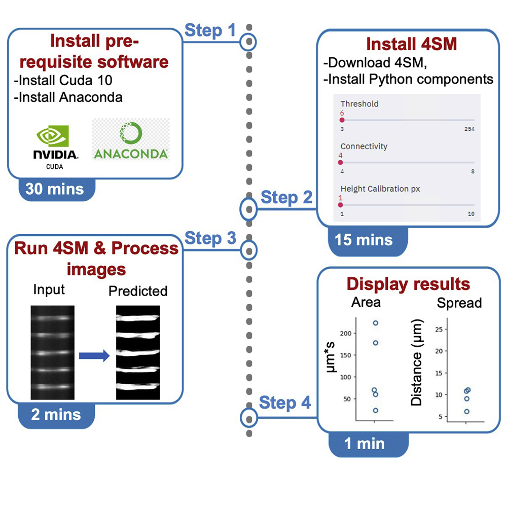 Cell Press: STAR Protocols