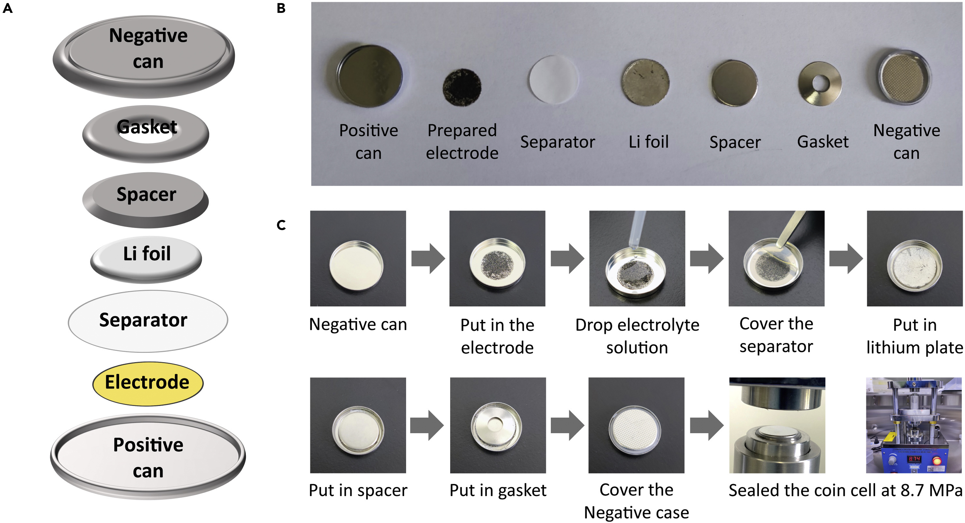 Cell Press: STAR Protocols