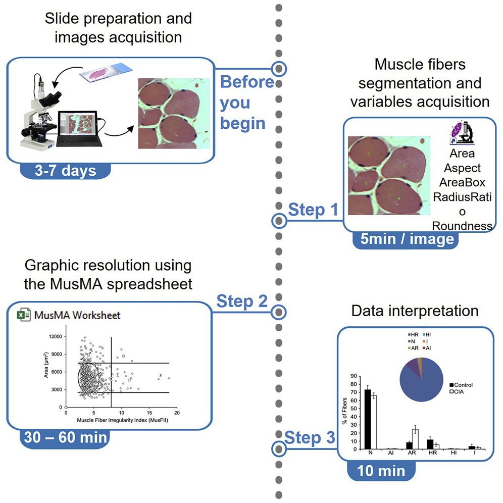 Cell Press: STAR Protocols