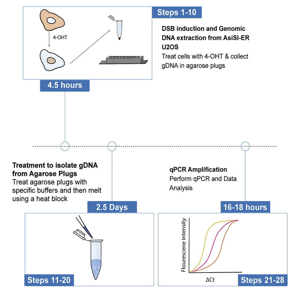 Cell Press: STAR Protocols