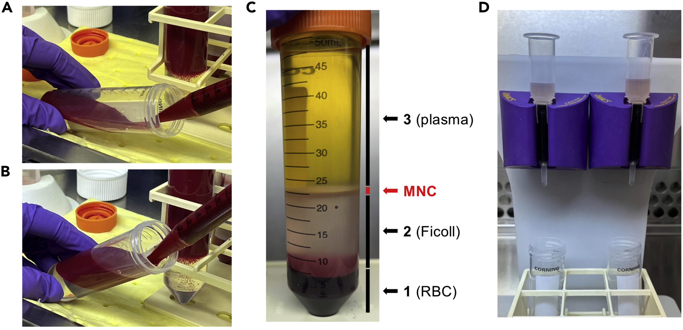Cell Press: STAR Protocols