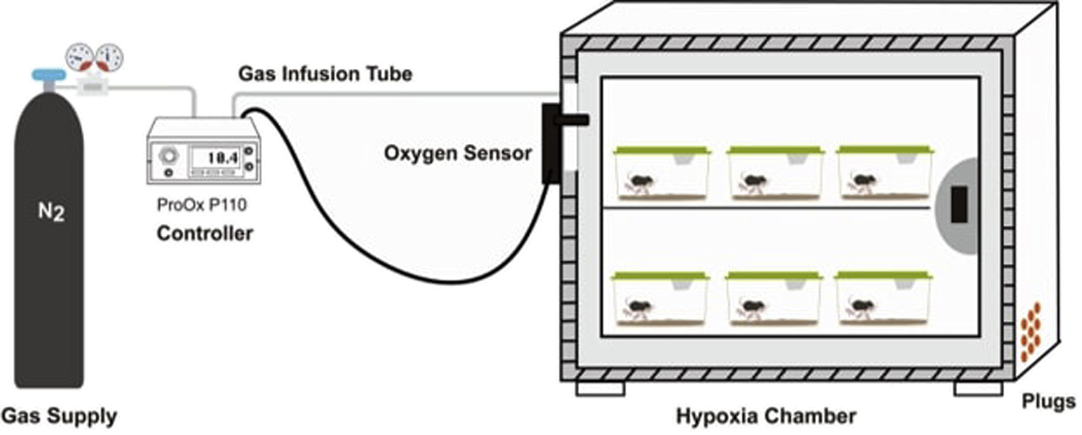 Cell Press: STAR Protocols