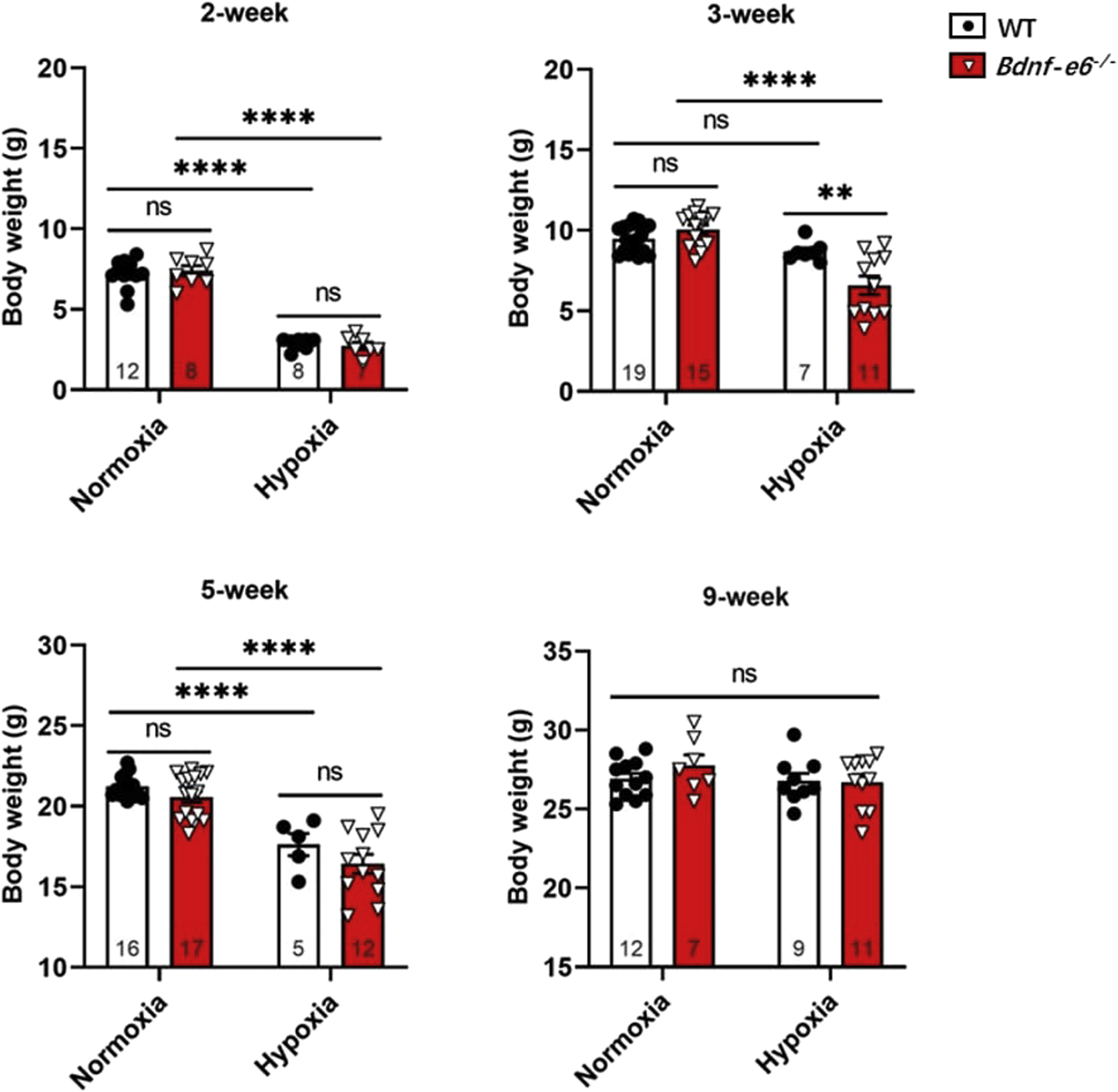 Cell Press: STAR Protocols