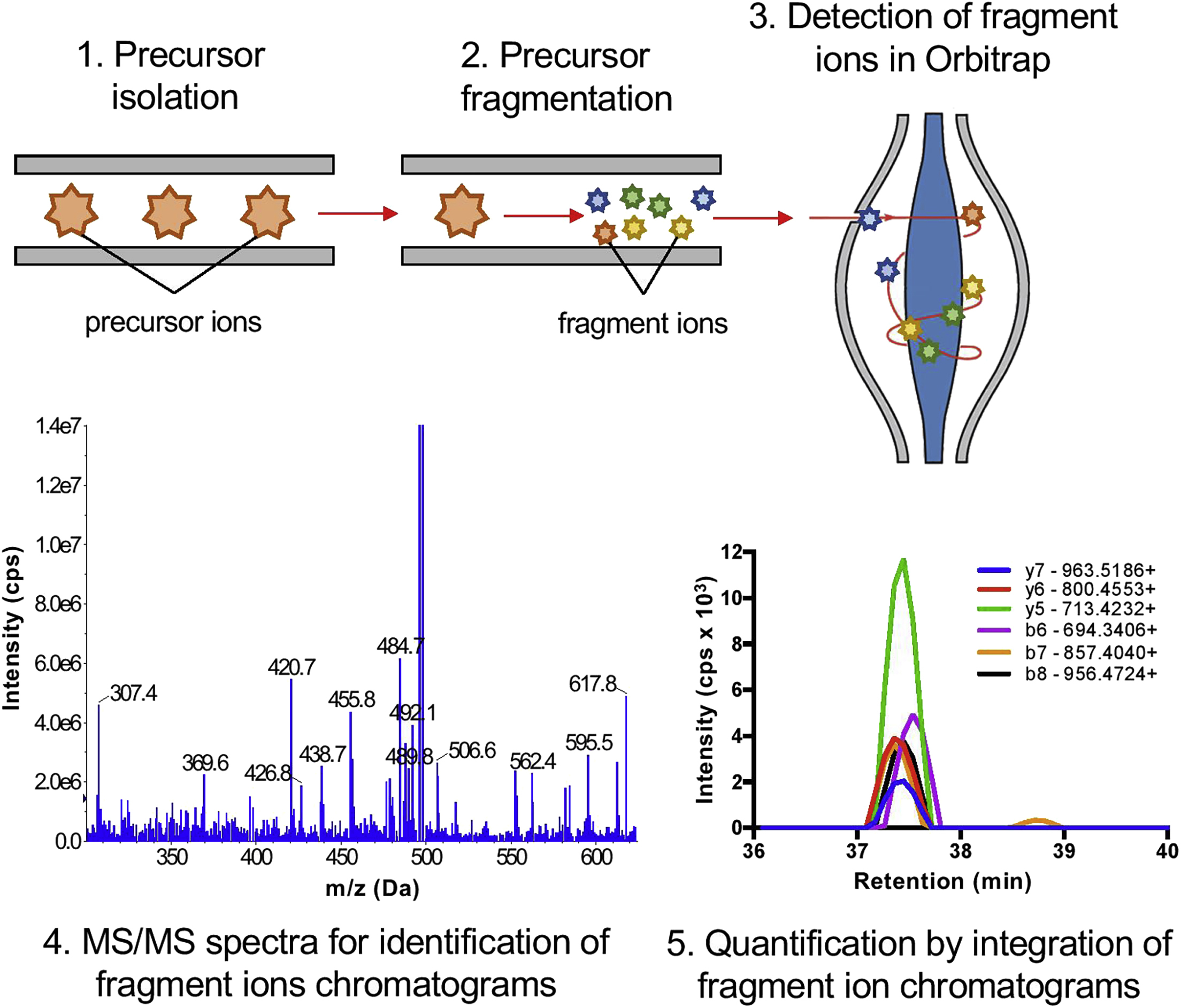 Cell Press: STAR Protocols