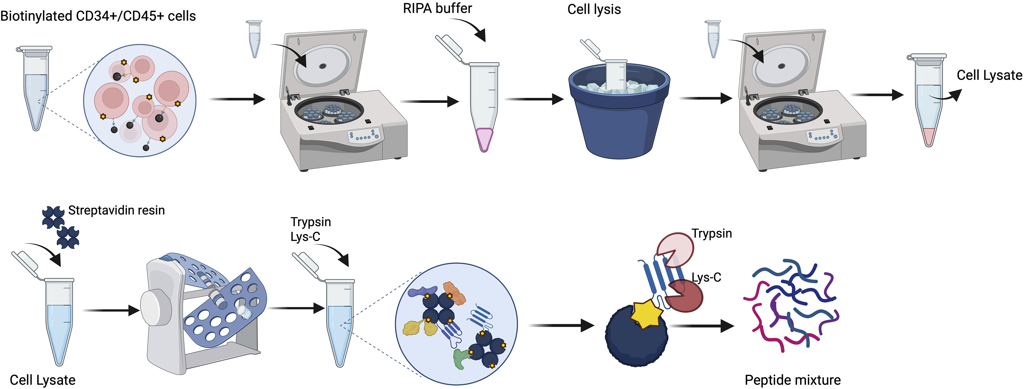 Cell Press: STAR Protocols