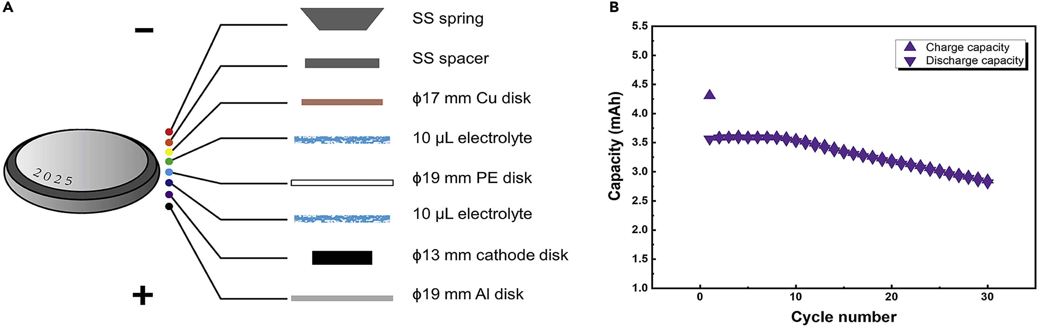 Cell Press: STAR Protocols
