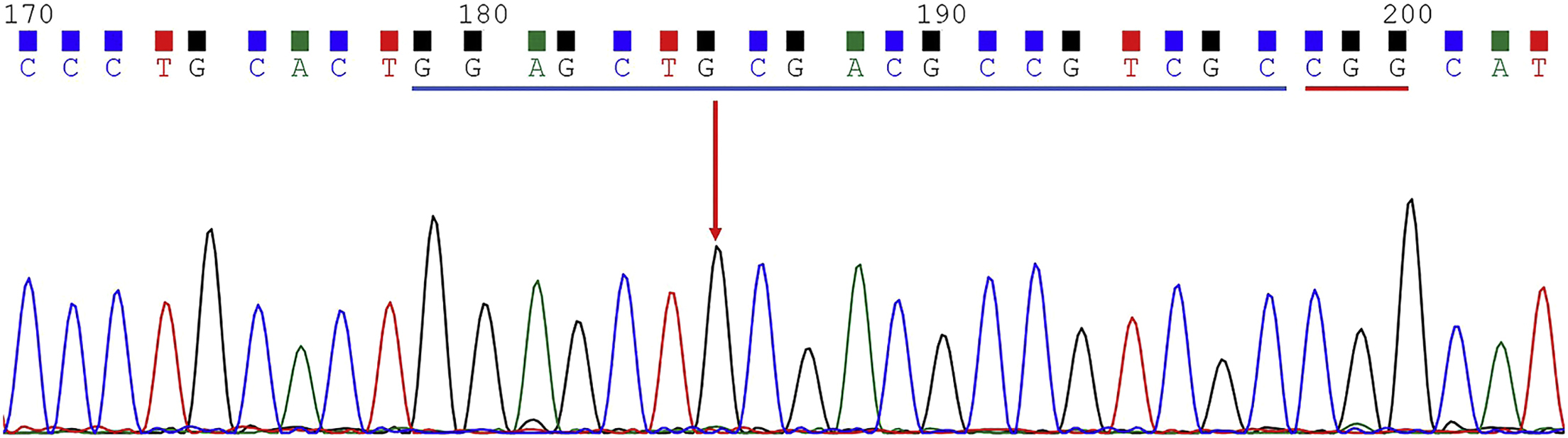 Cell Press: STAR Protocols
