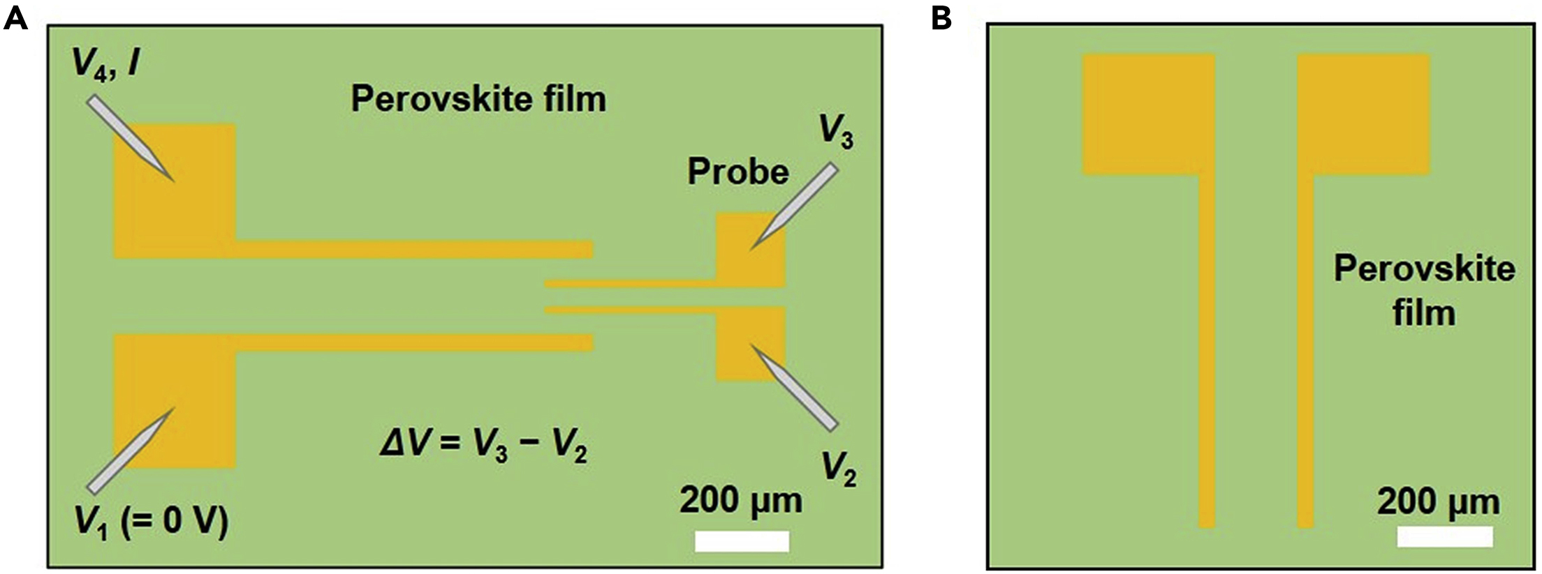 Cell Press: STAR Protocols
