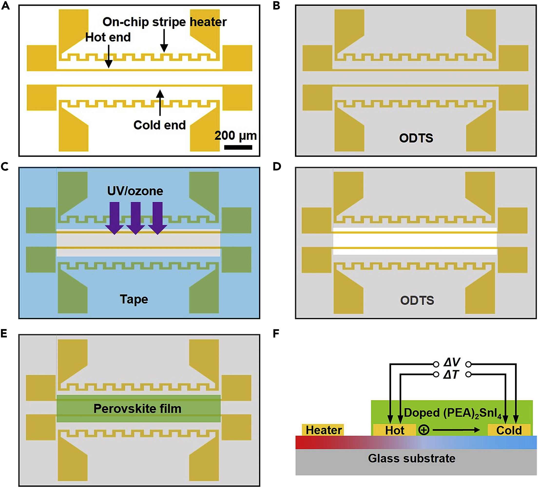 Cell Press: STAR Protocols