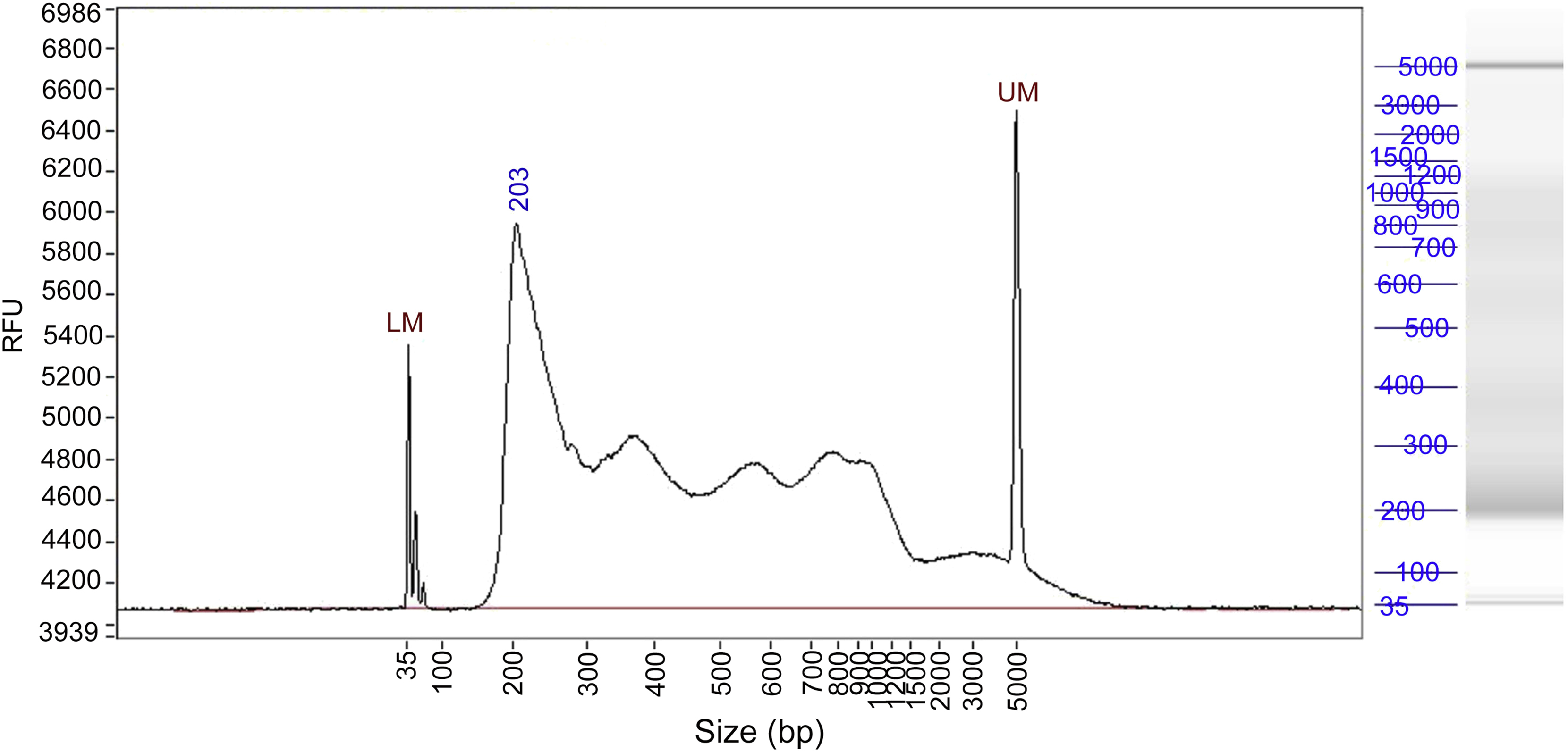 Cell Press: STAR Protocols