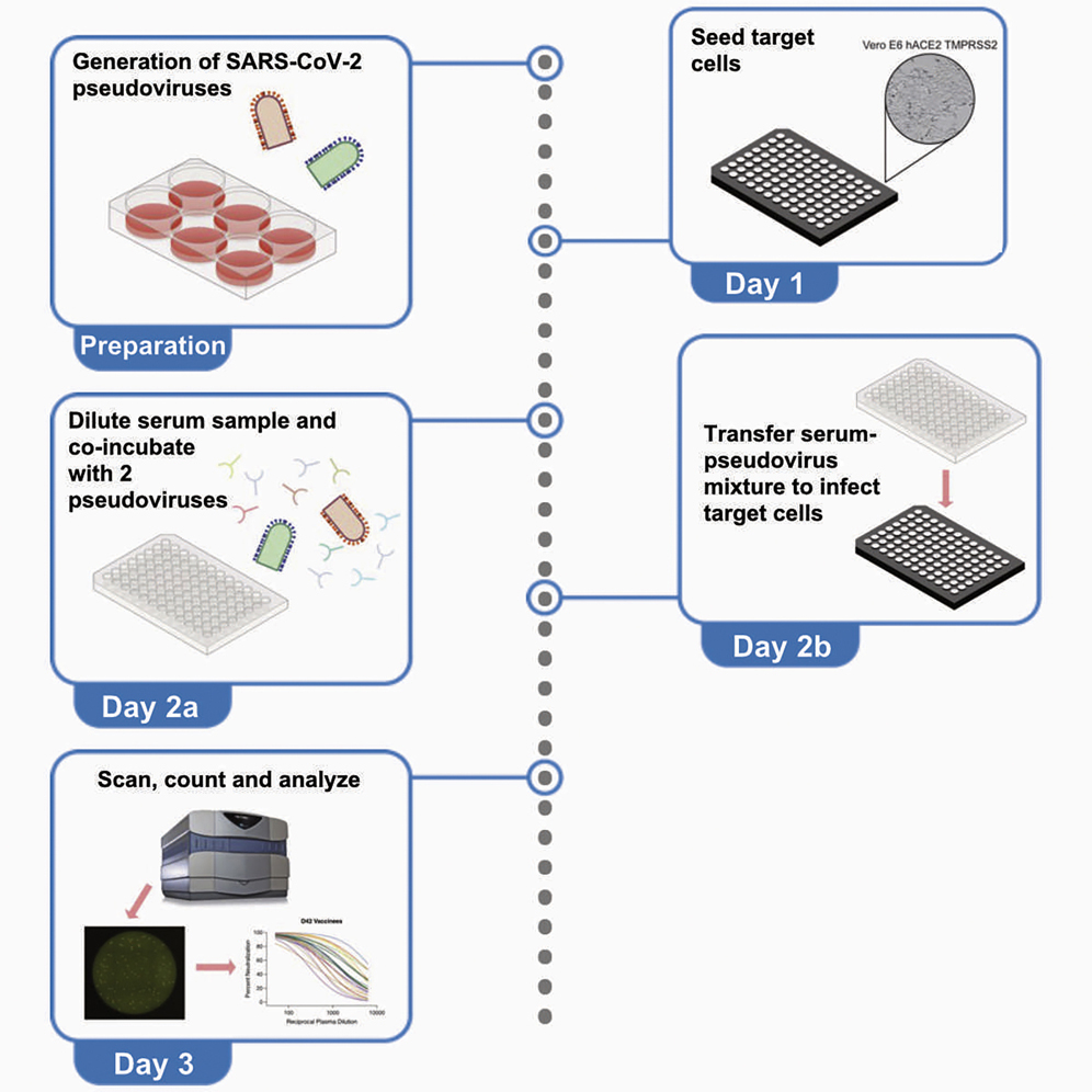 Cell Press: STAR Protocols