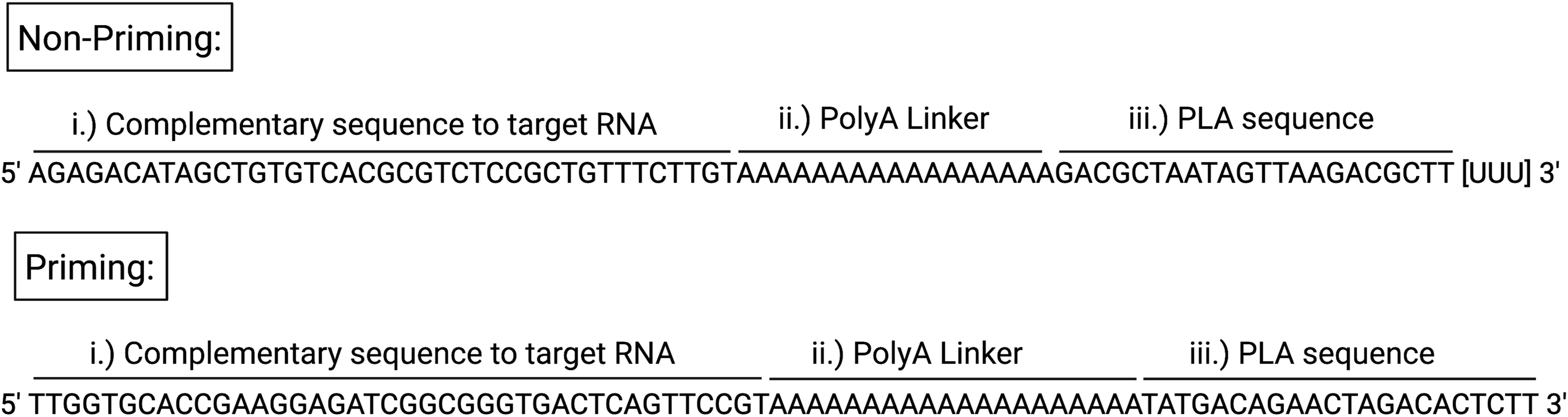 Cell Press: STAR Protocols