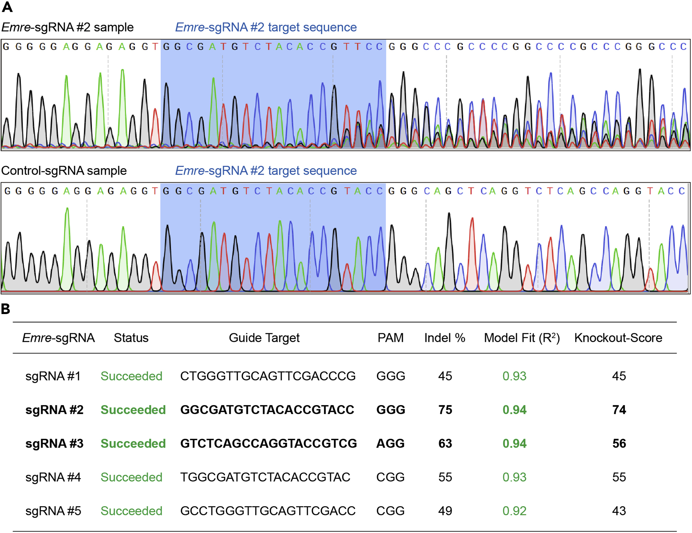 Cell Press: STAR Protocols
