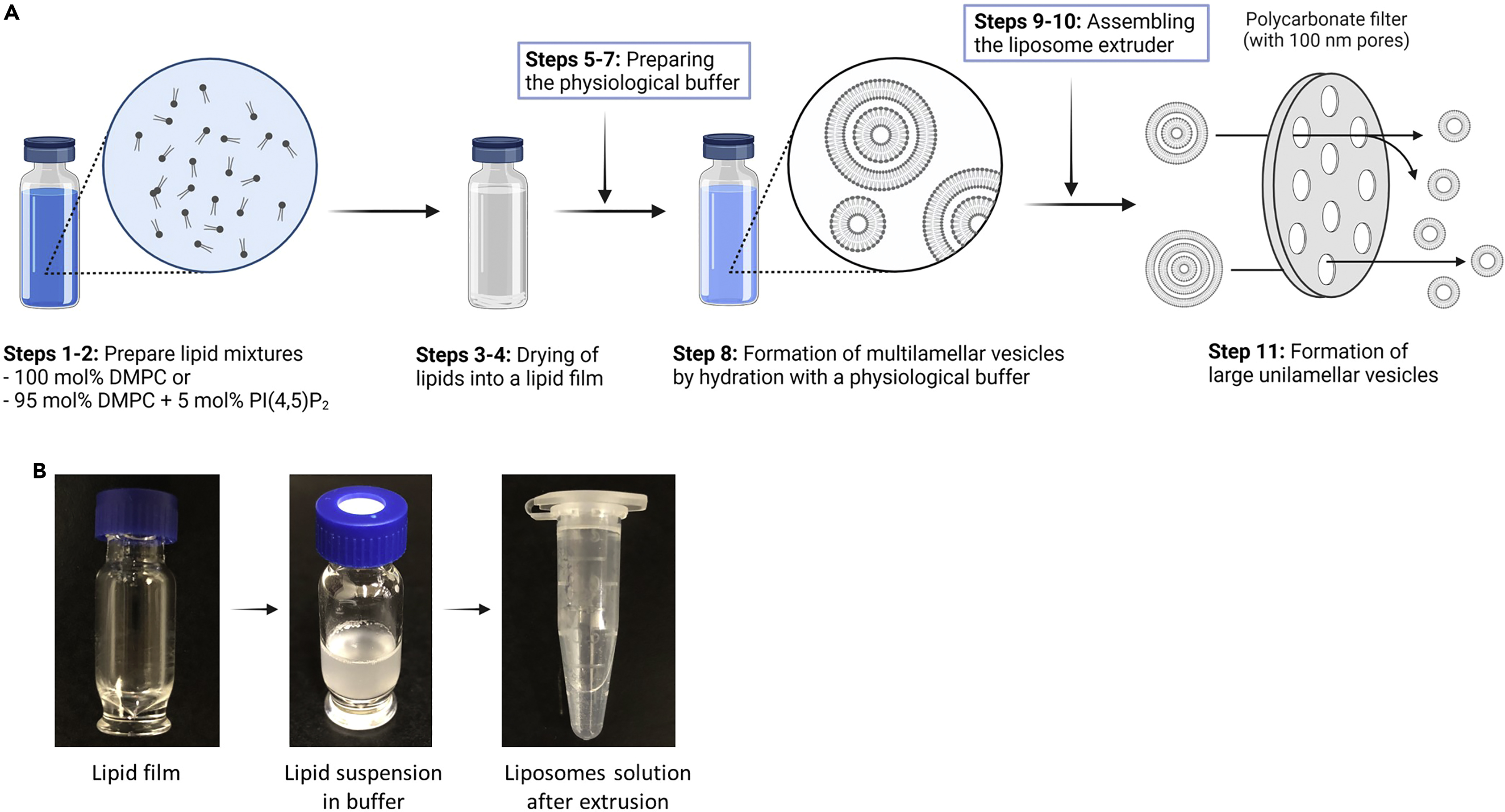 Cell Press: STAR Protocols