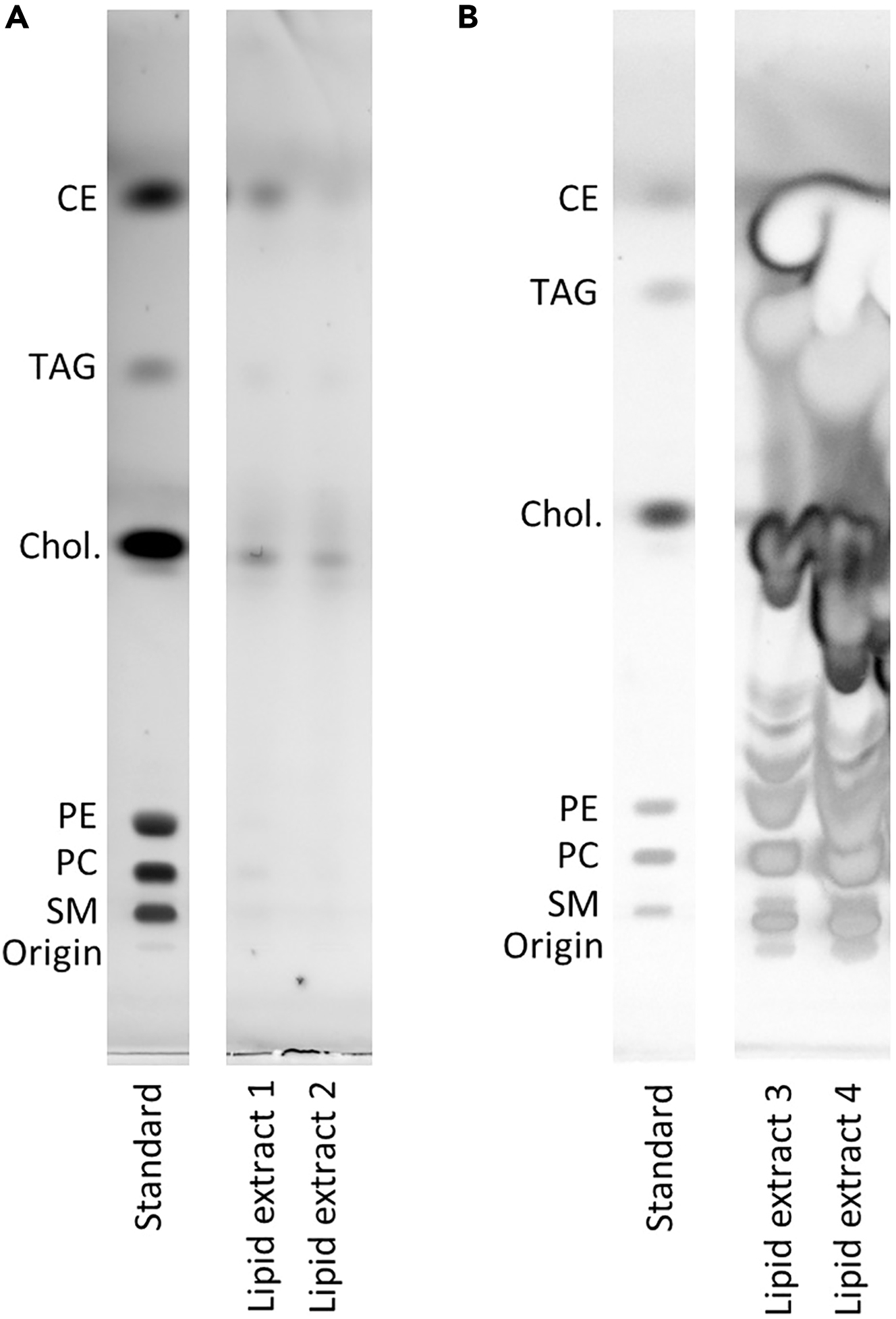 Cell Press: STAR Protocols