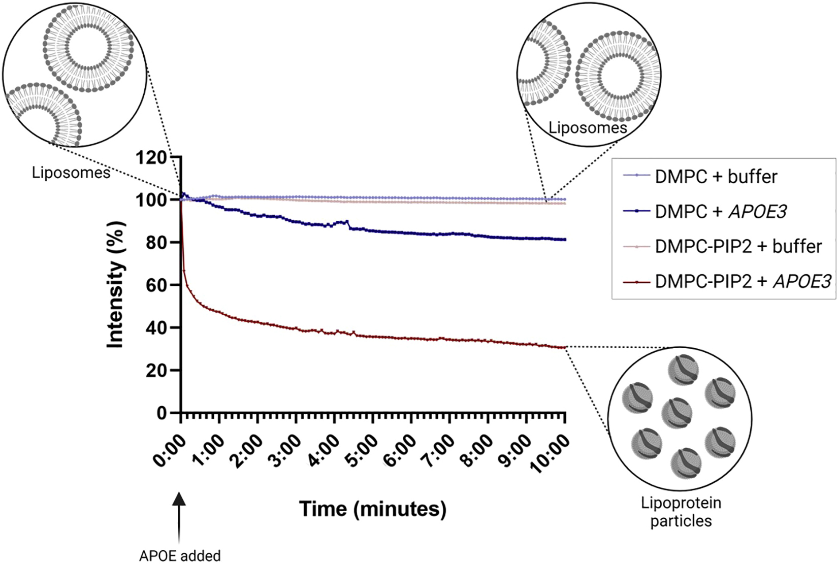 Cell Press: STAR Protocols