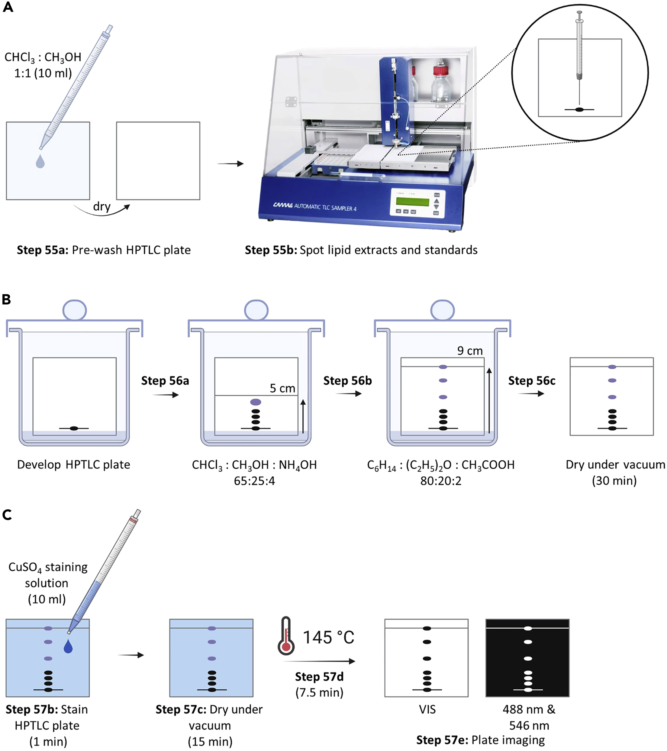 Cell Press: STAR Protocols