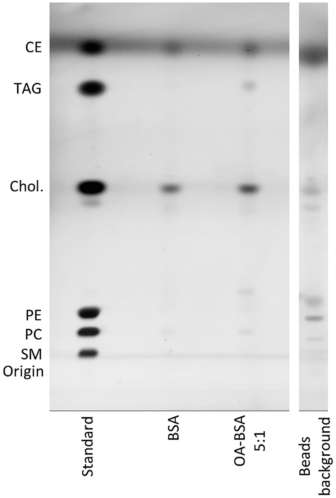 Cell Press: STAR Protocols